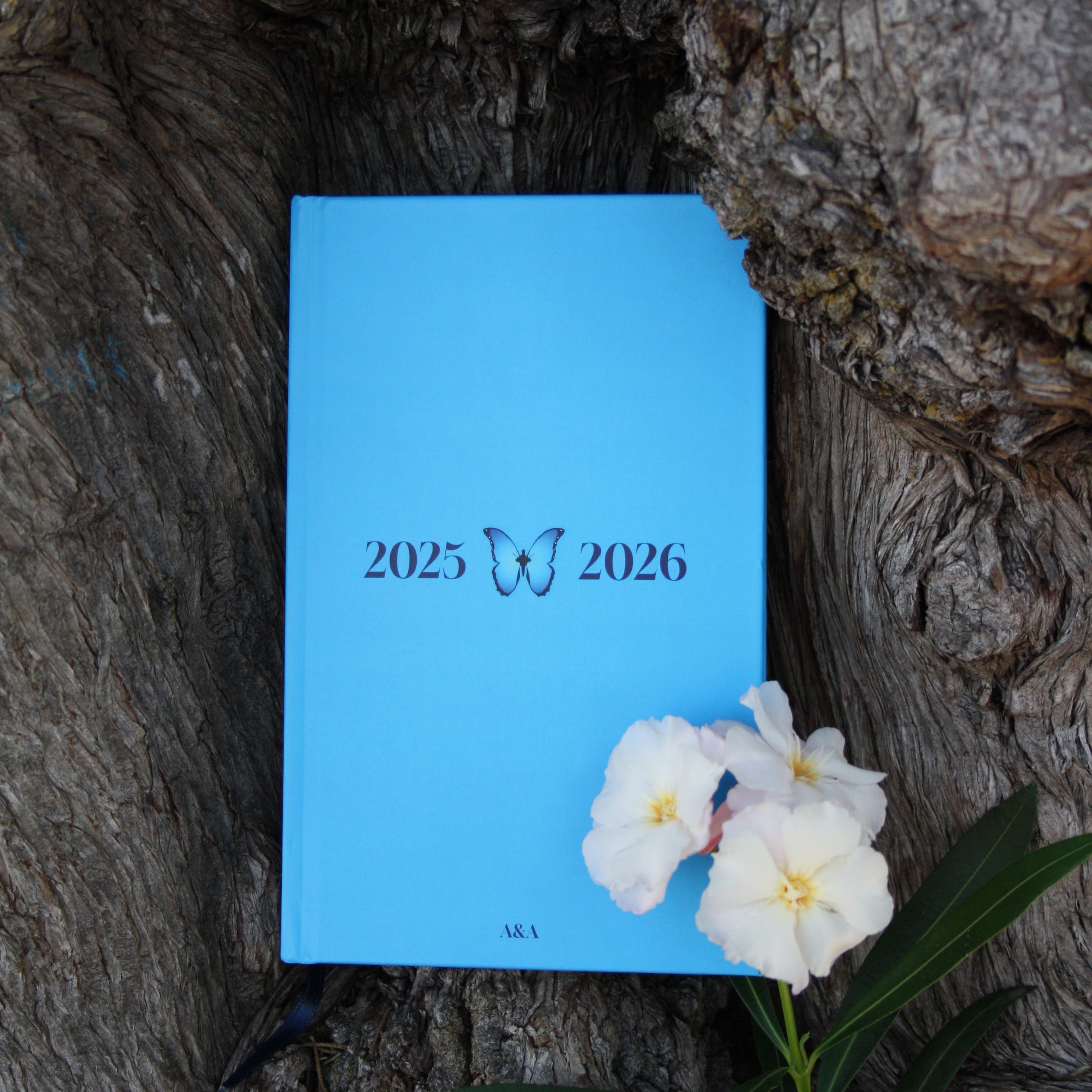 Agenda A&A 2025/2026 – Ally&Aury Shop